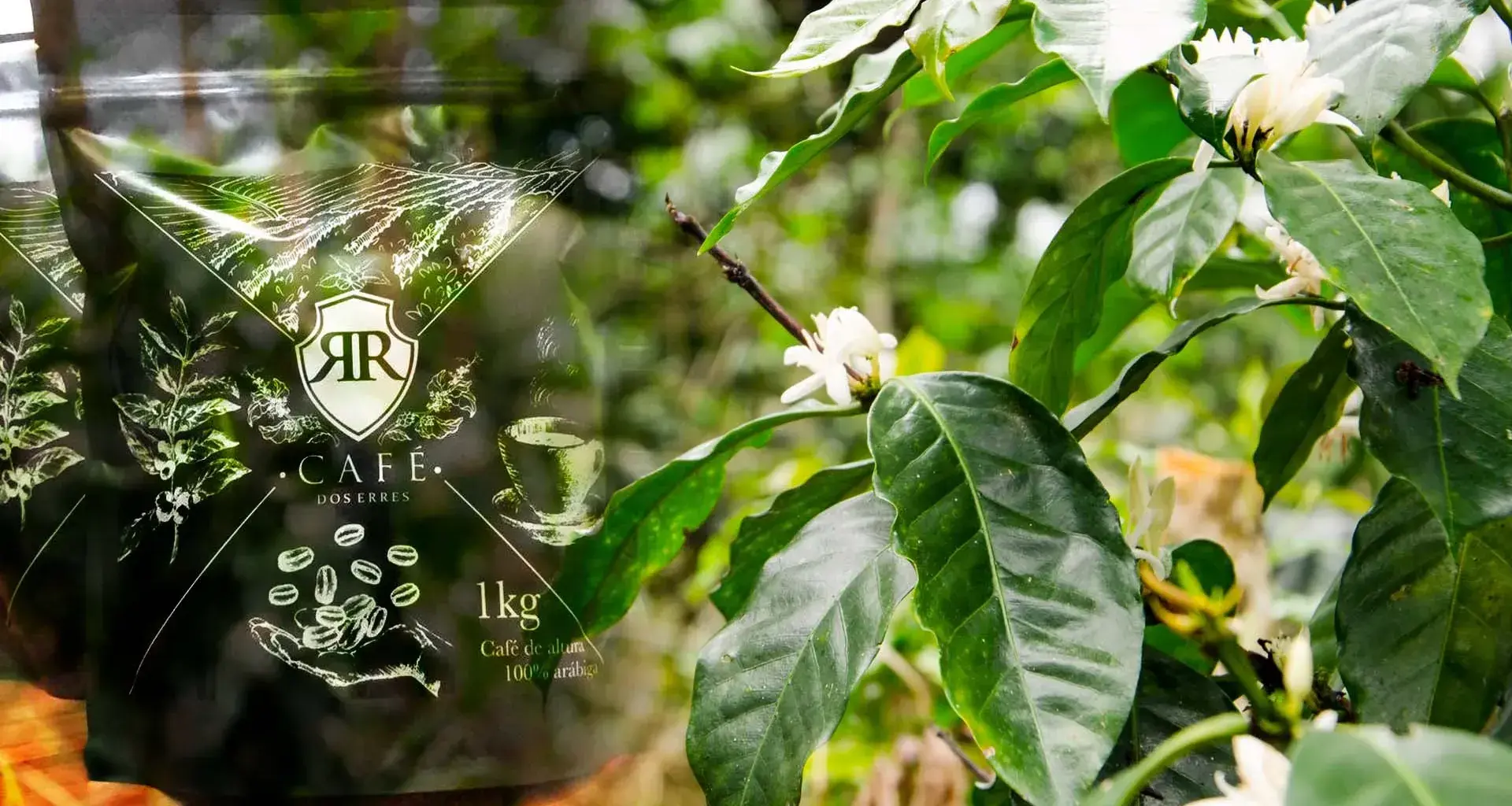 Emprendedores Tec crean su marca cafetera: Dos Erres Café | Tecnológico ...